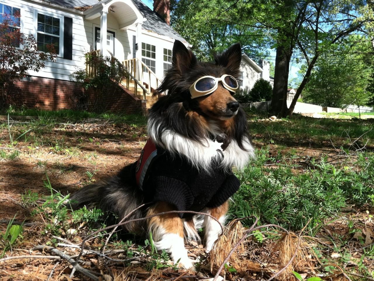 Jesus Bike Gallery - Christian Riders Ministry